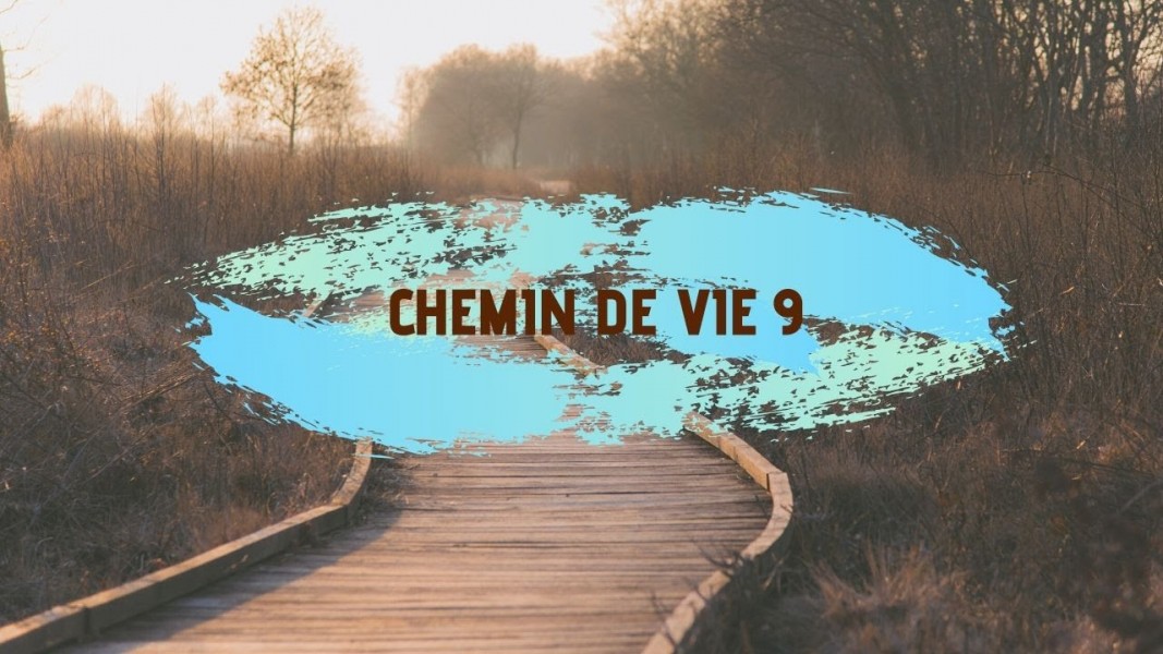 Chemin de vie 9 en numérologie : quelle est la signification Chemin de vie 9 en numérologie : quelle est la signification